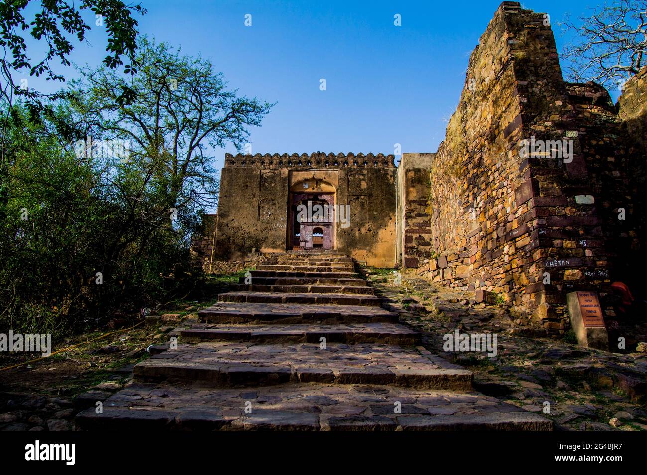 Ranthambore tiger temple hi-res stock photography and images - Alamy