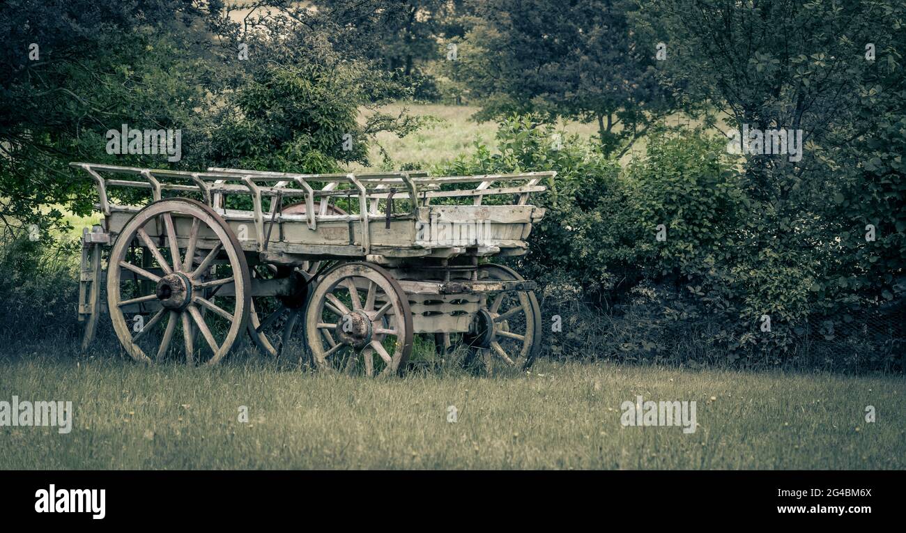 A vintage horse drawn wooden farm wagon in the corner of a field Stock ...