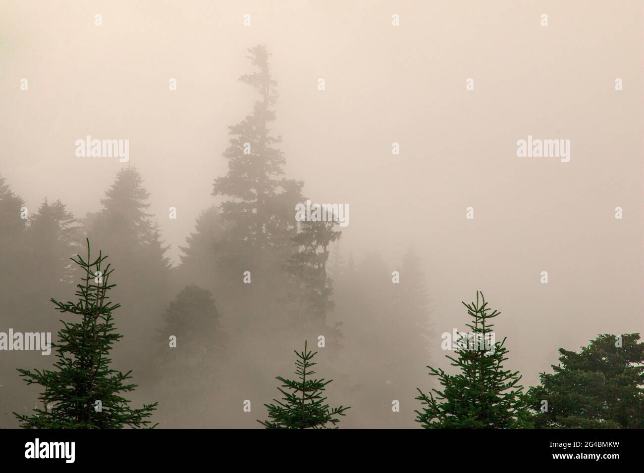 Sunrise over georgia mountains hi-res stock photography and images - Alamy