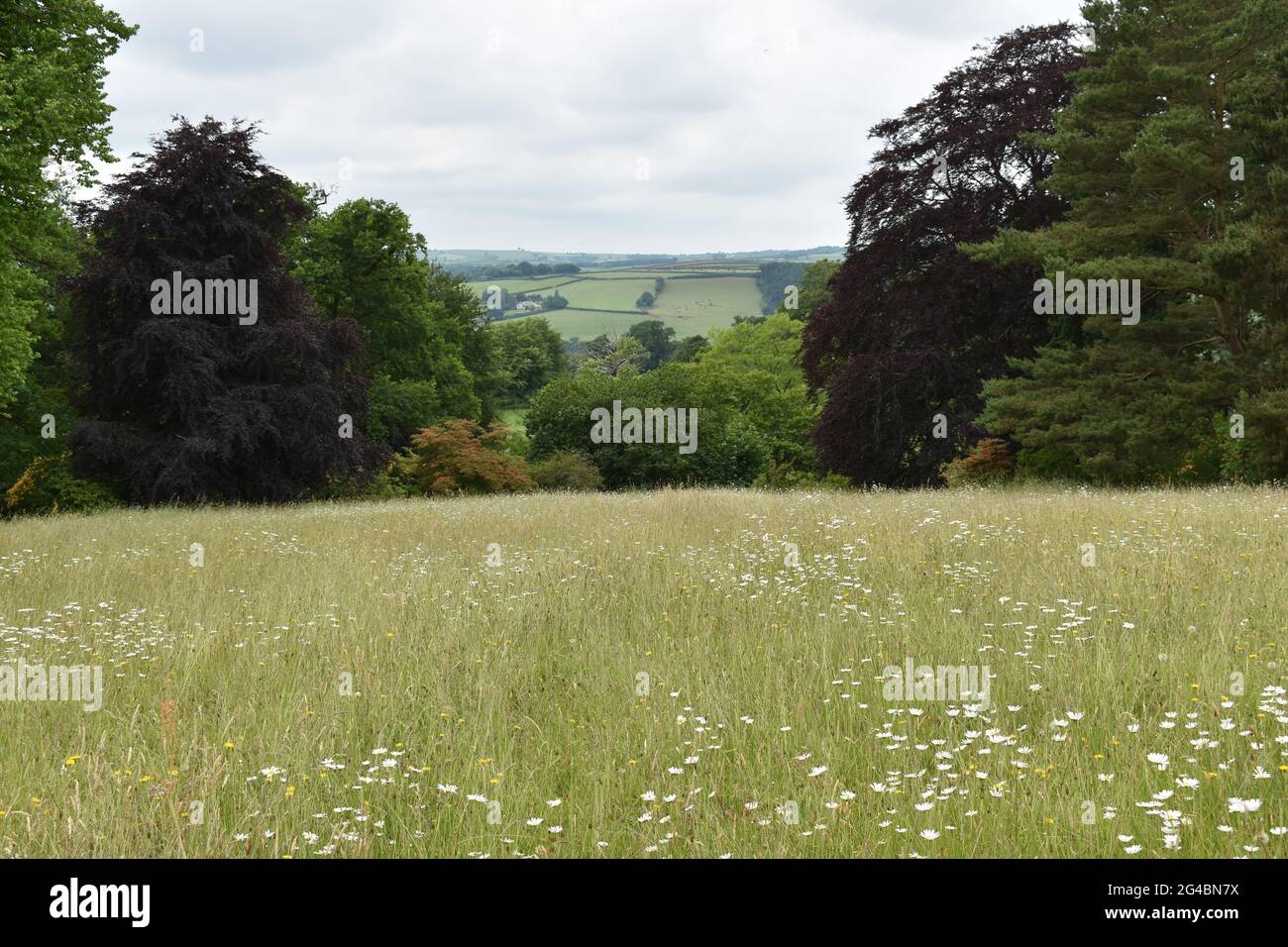 June landscape hi-res stock photography and images - Alamy