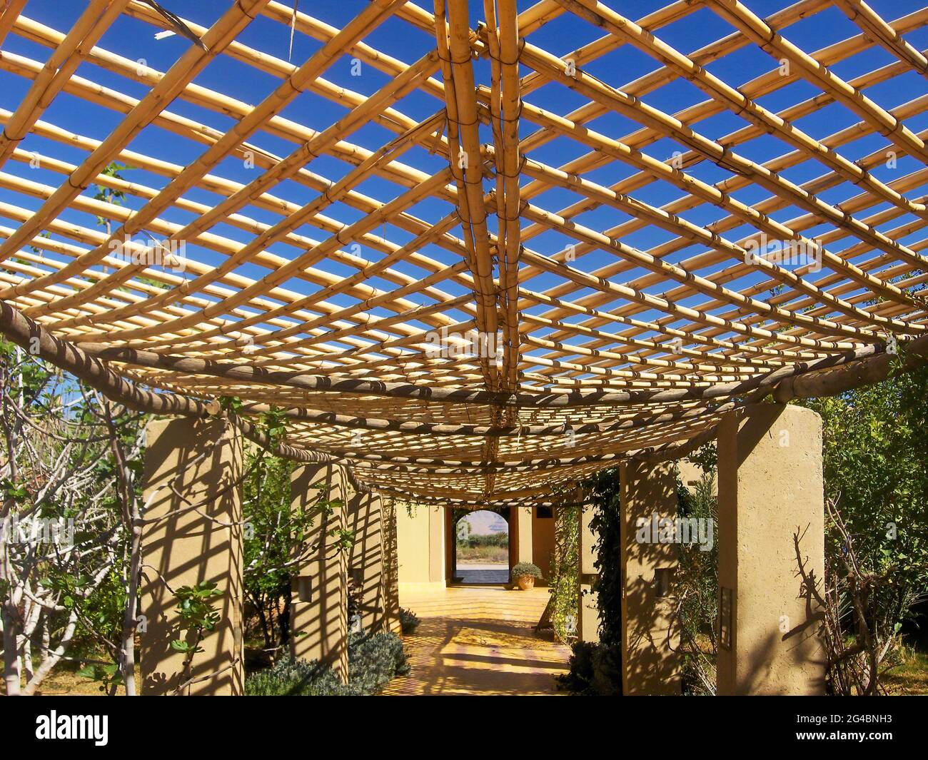 Pergola with a reed roof to shade the garden Stock Photo - Alamy