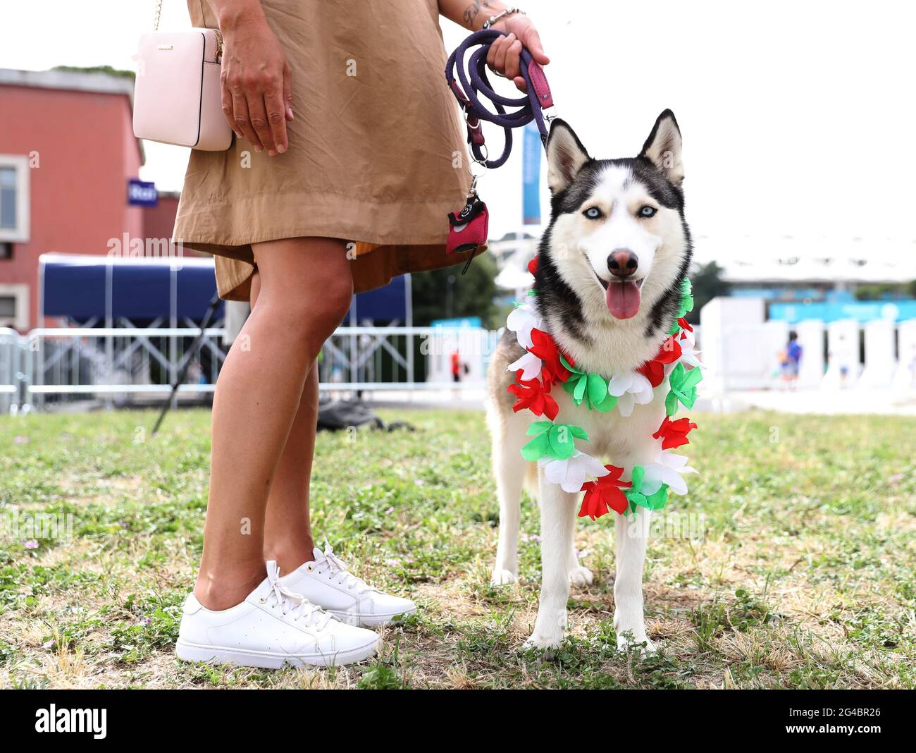 Rome, Italy, 20th June 2021. An Italian fans dog with country colours ...