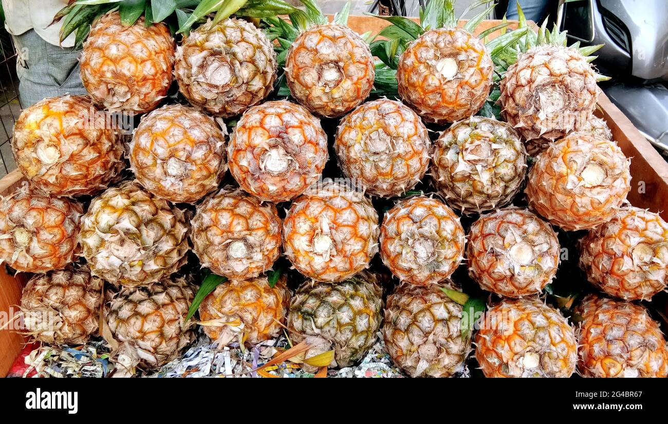 Big pineapple plantation hi-res stock photography and images - Alamy