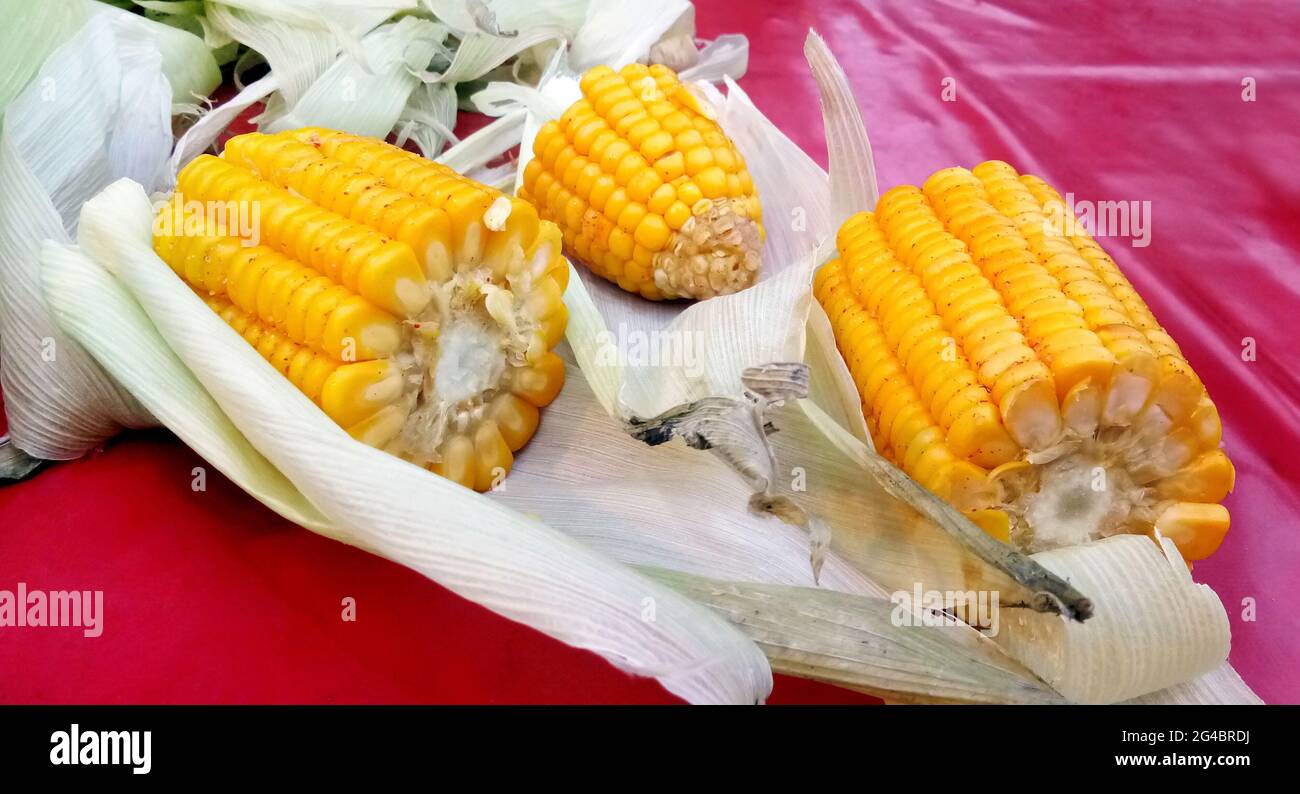 Boiled sweet corn with salt and spices cut into pieces in street market ...