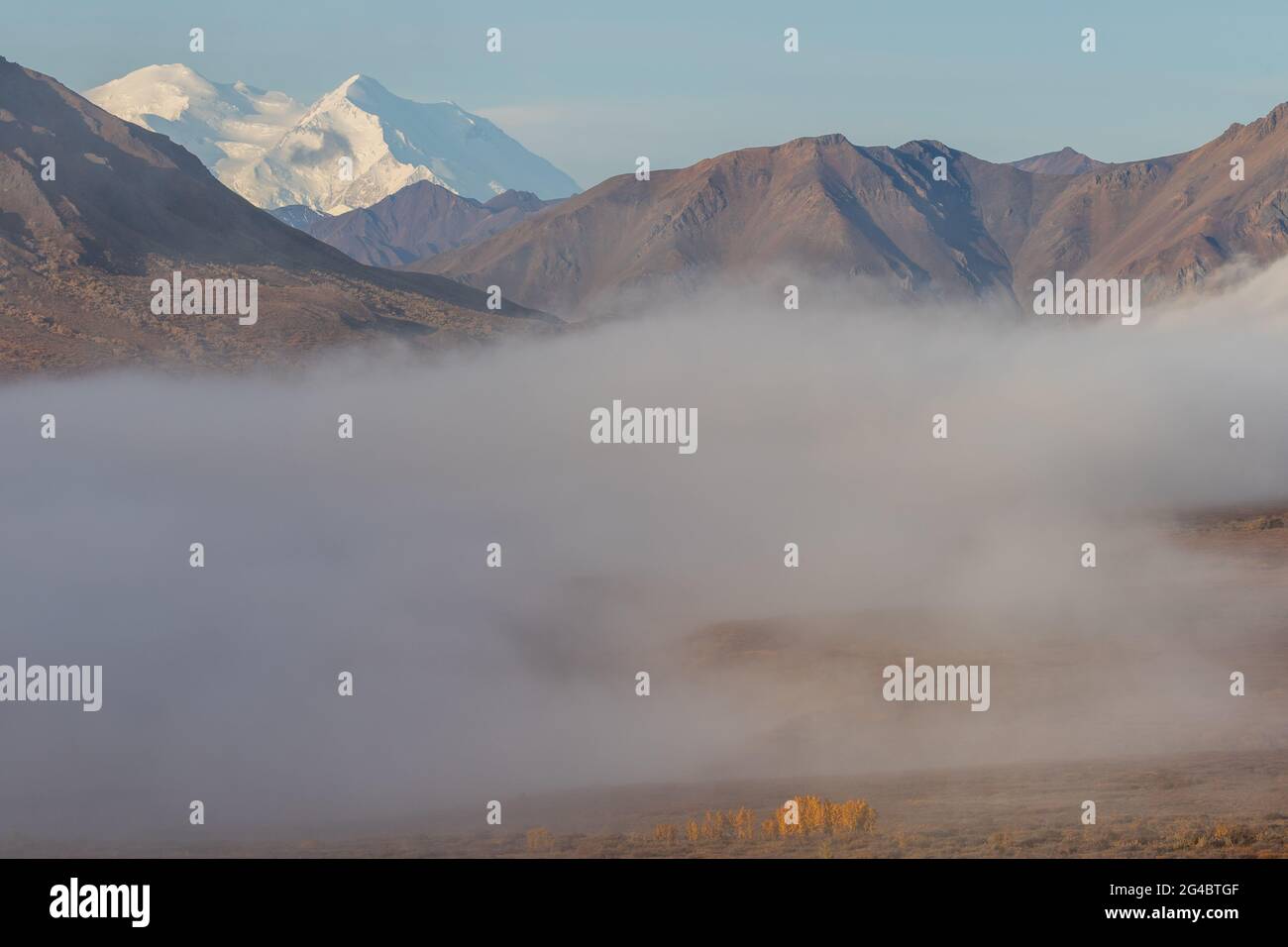 Tundra fog in denali national park hi-res stock photography and images ...