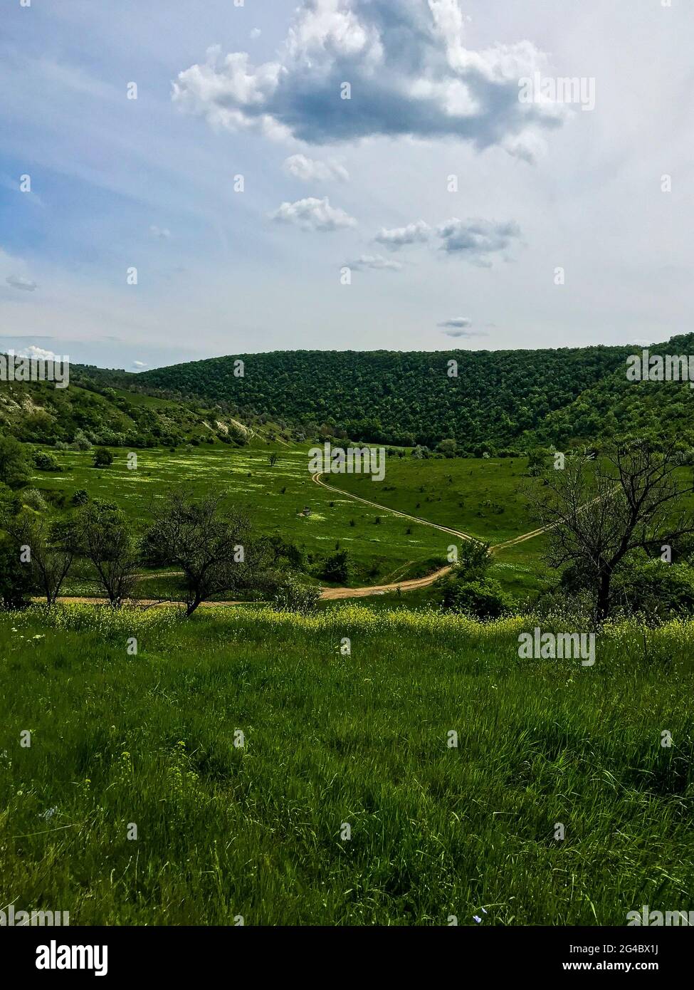 Old Orhei. Moldova. Nature.Butuceni. Green hils. Forest Stock Photo - Alamy