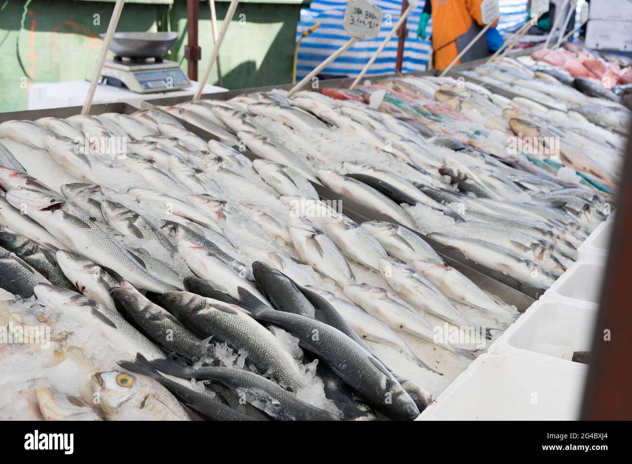 fresh raw fishes display on market stall , fish mongers, sea breams ...