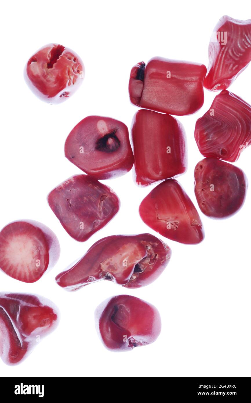 Close up coral texture hi-res stock photography and images - Alamy