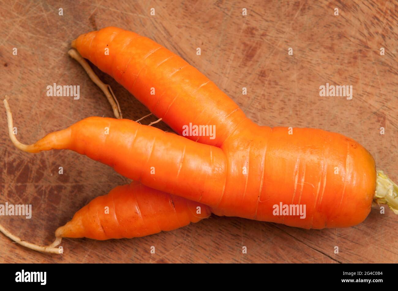 An overhead shot of farm-fresh carrots bent and twisted Stock Photo - Alamy