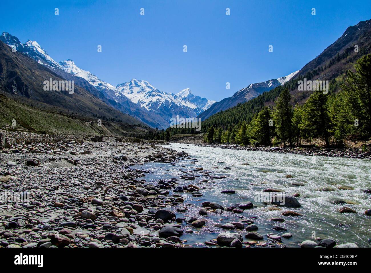 Beautiful River flowing though Chitkul Stock Photo - Alamy