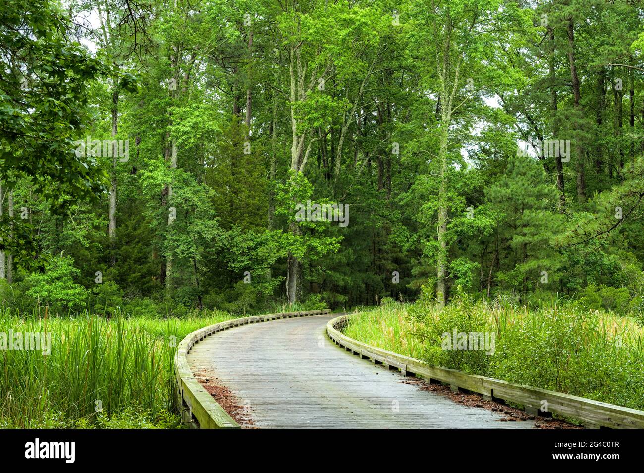 Jamestown island hi-res stock photography and images - Alamy