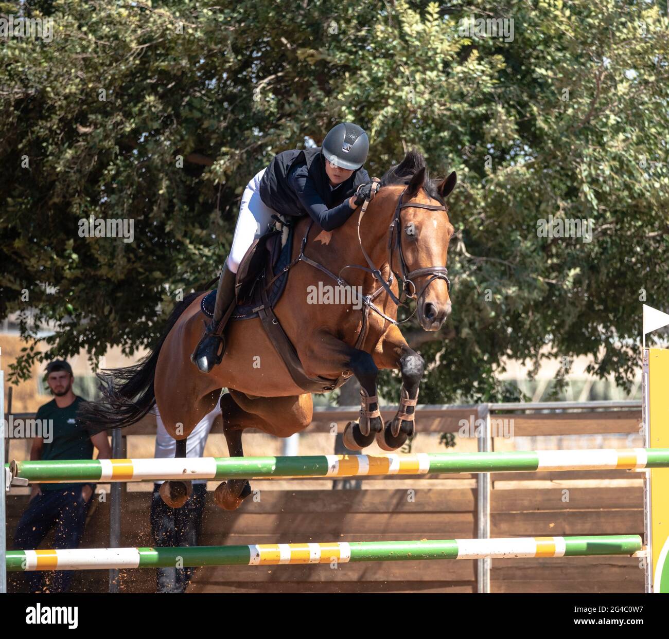 Baron Maya, Israel Horse Jumping Championship, June 2021 Stock Photo ...