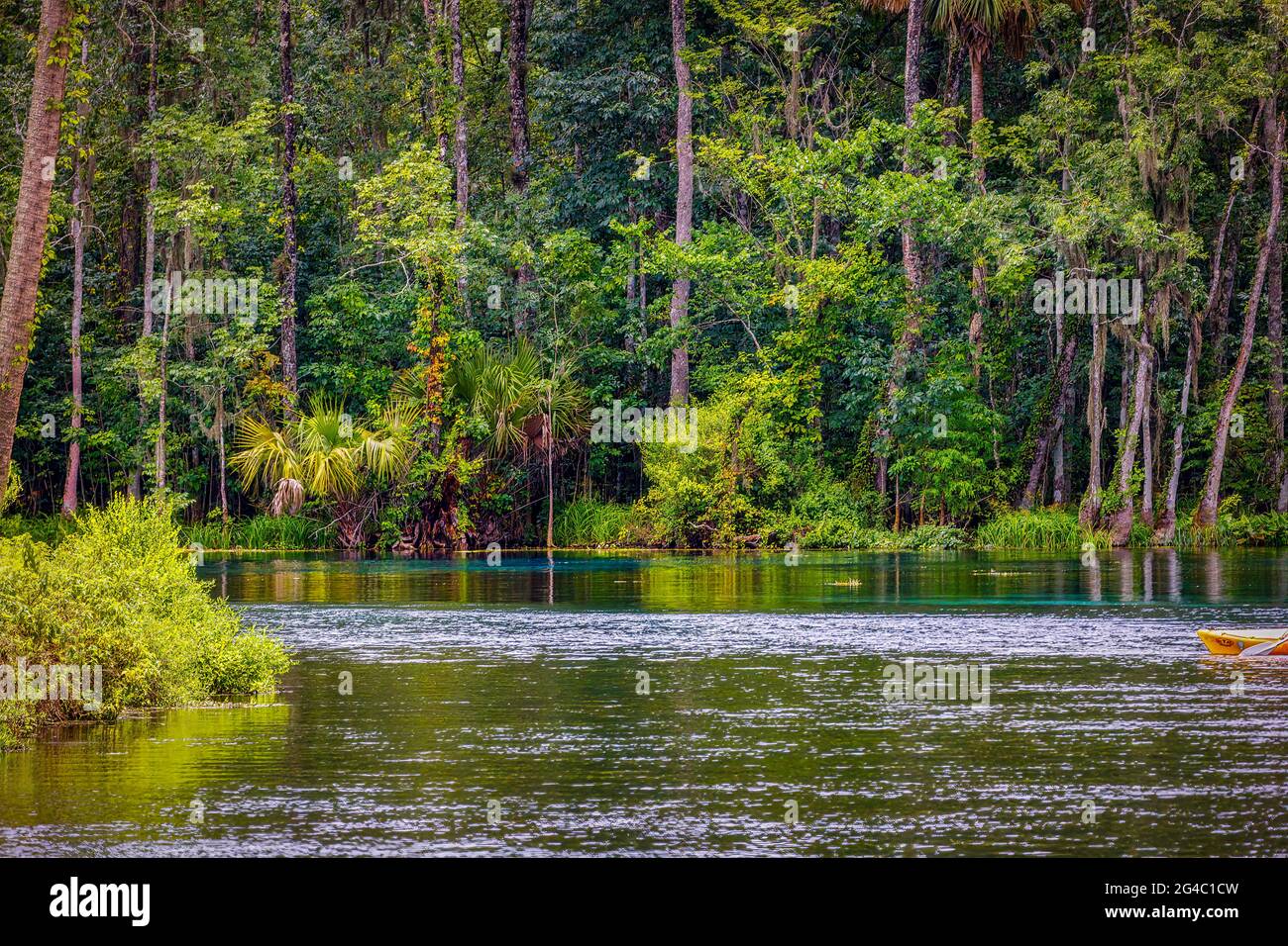 The Natural Spring scenery of Silver Springs Florida Stock Photo - Alamy