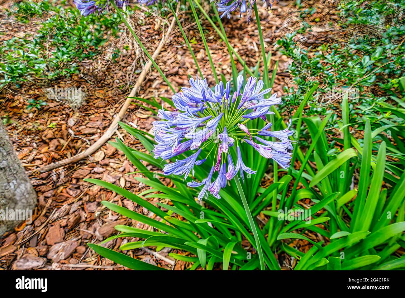 Springs april day hi-res stock photography and images - Alamy