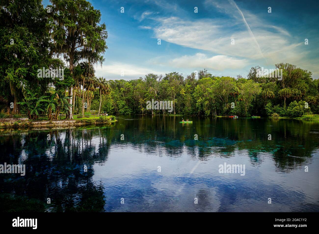 The Natural Spring scenery of Silver Springs Florida Stock Photo - Alamy