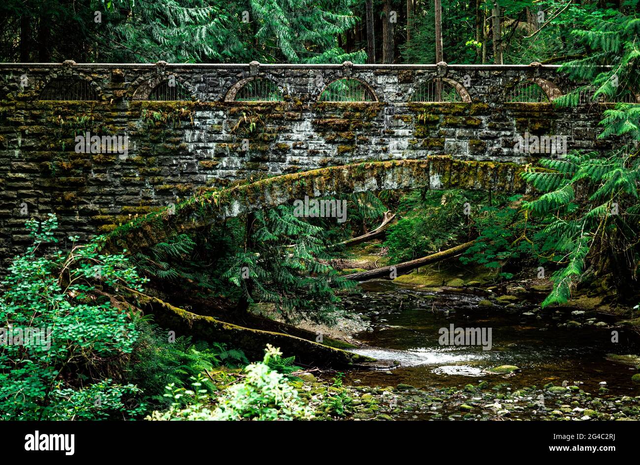 Falls and whatcom falls park hi-res stock photography and images - Alamy