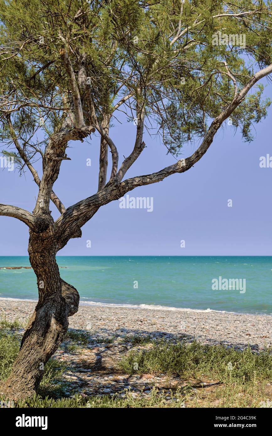 Moncofa beach Costa del Azahar in the province of Castellon, Spain ...