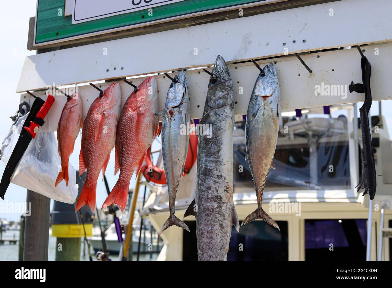 Hanging from a hook hi-res stock photography and images - Alamy