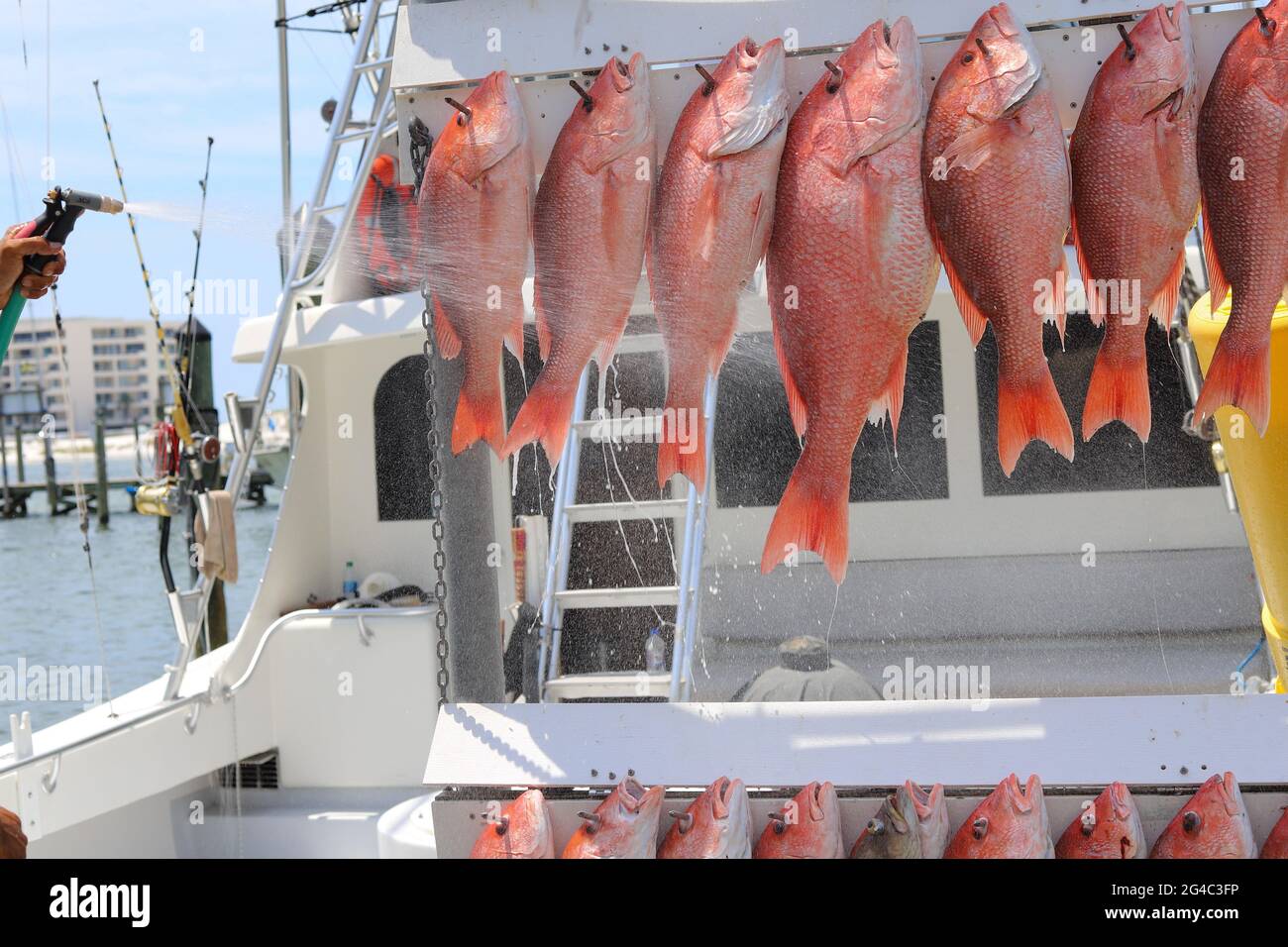 Hanging from a hook hi-res stock photography and images - Alamy