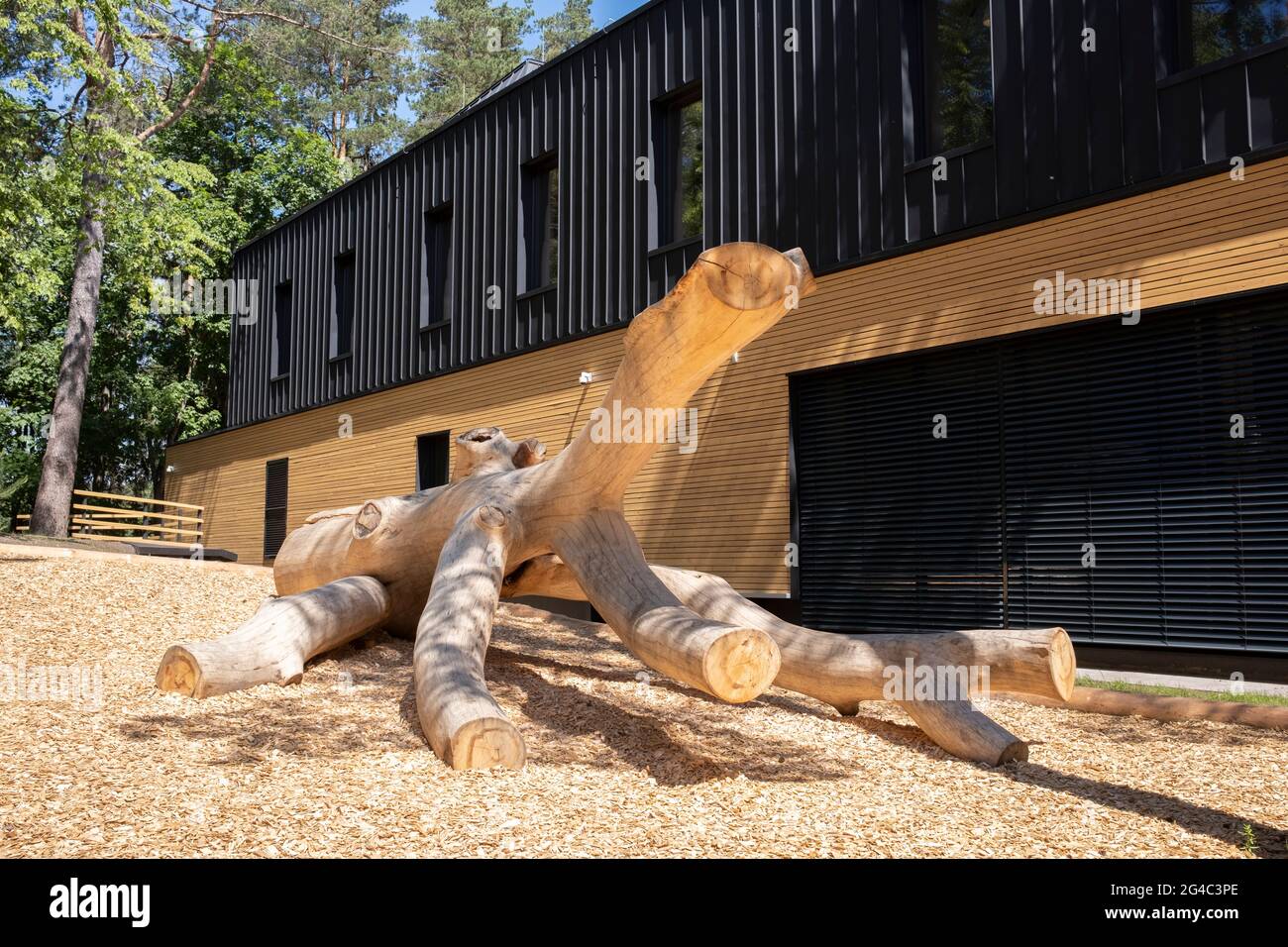 Wooden statue at the building of the Ogre Central Library, Orge city ...