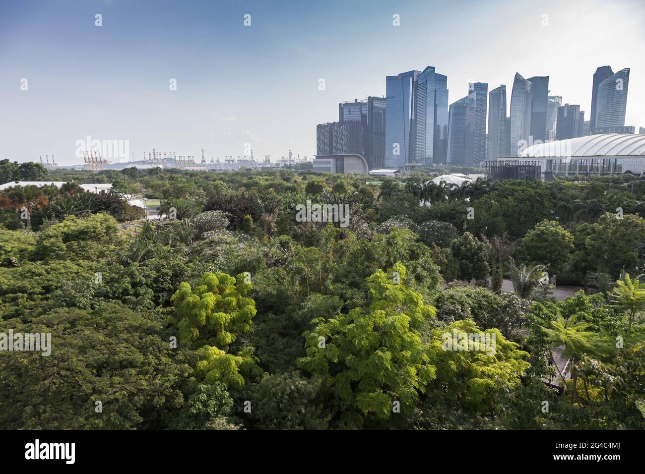 View of Singapore's CBD skyline from the Supertree Grove, Gardens by ...