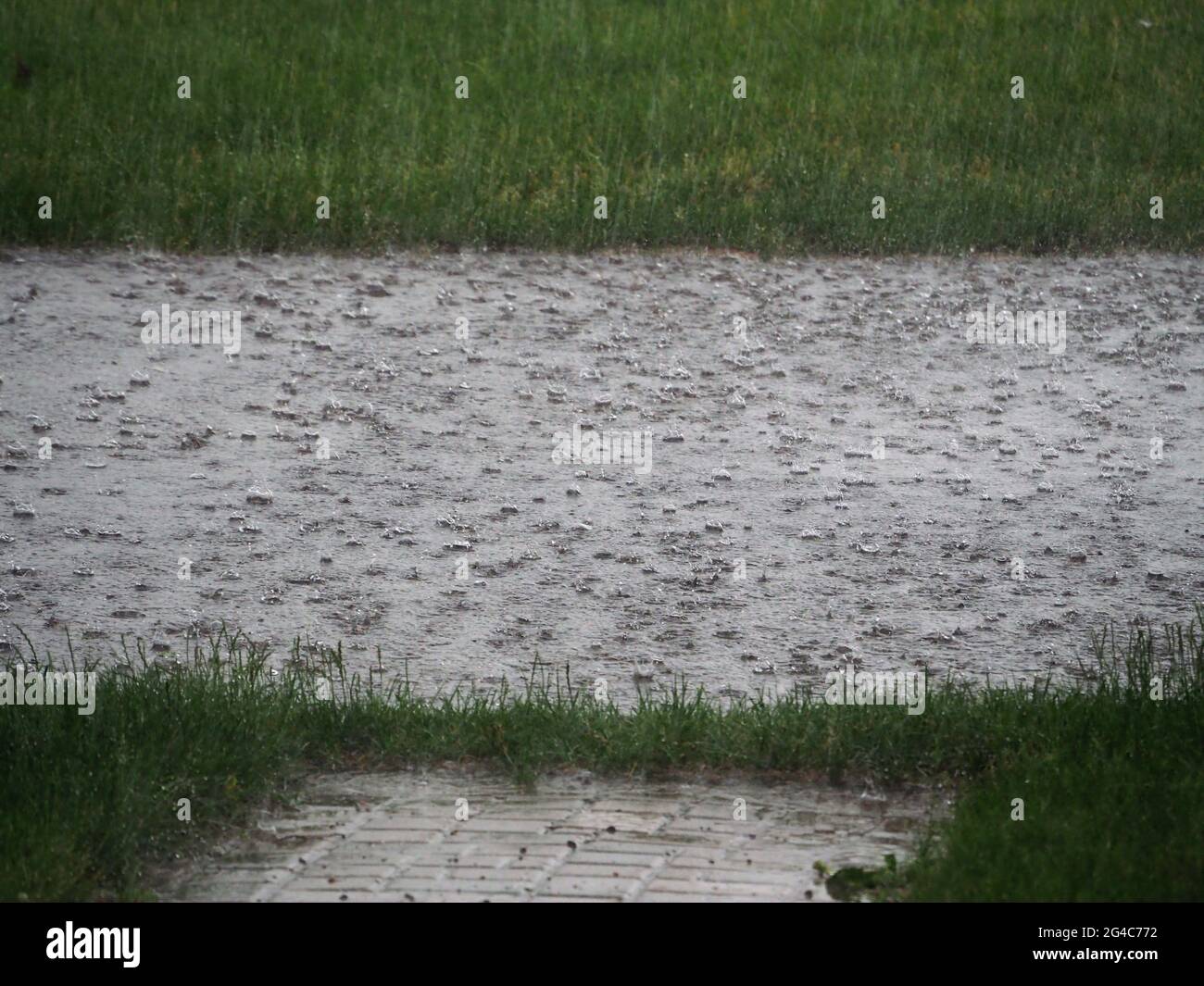 Pouring rain grass hi-res stock photography and images - Alamy