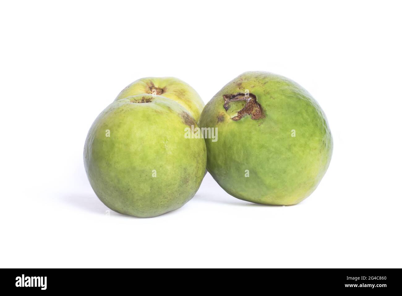 A couple of green, fresh guavas with a white background Stock Photo - Alamy