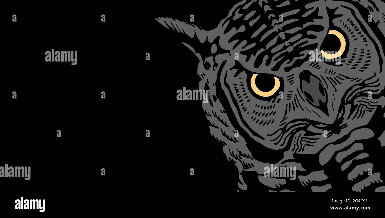 Owl head with predatory eyes. Realistic wild bird portrait. Front view ...