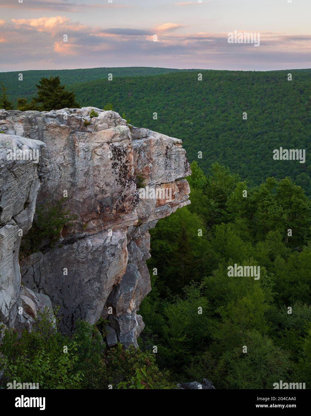 A beautiful sunset of pink, red, and orange in Dolly Sods, West ...