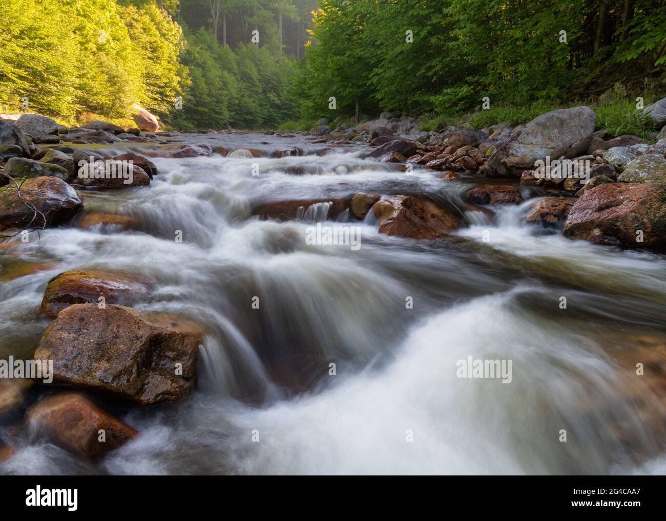 The beautiful rushing waters of Red Creek in Dolly Sods, West Virginia ...