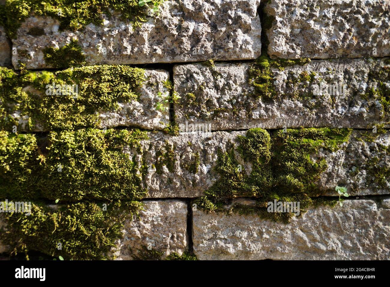 Stone wall overgrown hi-res stock photography and images - Alamy