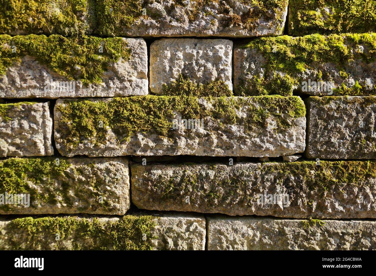 Stone wall overgrown hi-res stock photography and images - Alamy