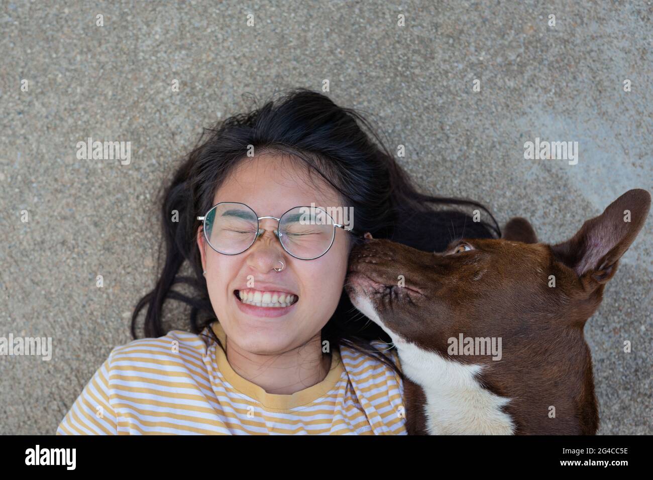 girl playing with her dog Stock Photo - Alamy