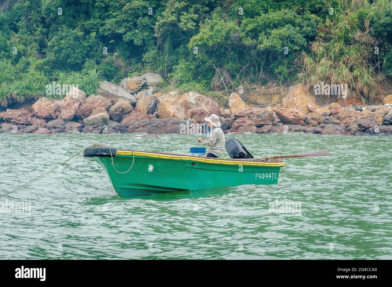 Asian rowing the boat in Hong Kong, Asia, UK Stock Photo - Alamy