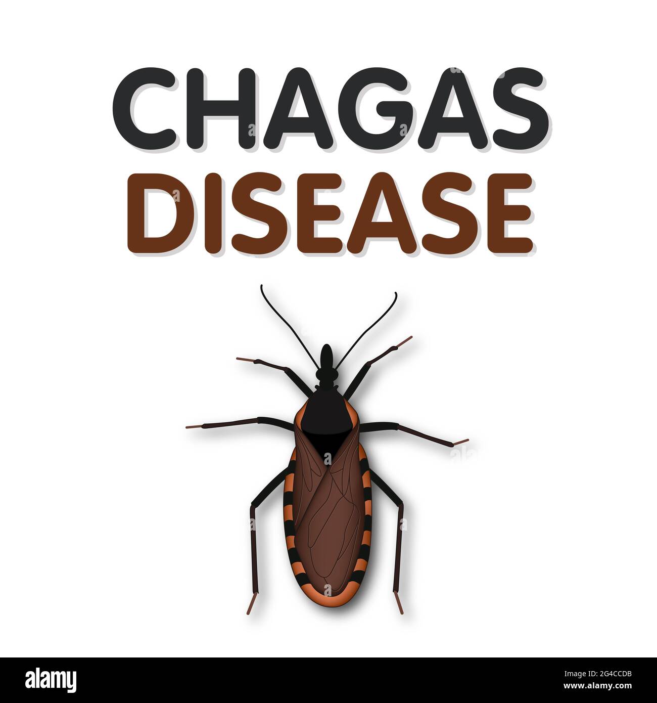 Kissing bug bite Cut Out Stock Images & Pictures - Alamy