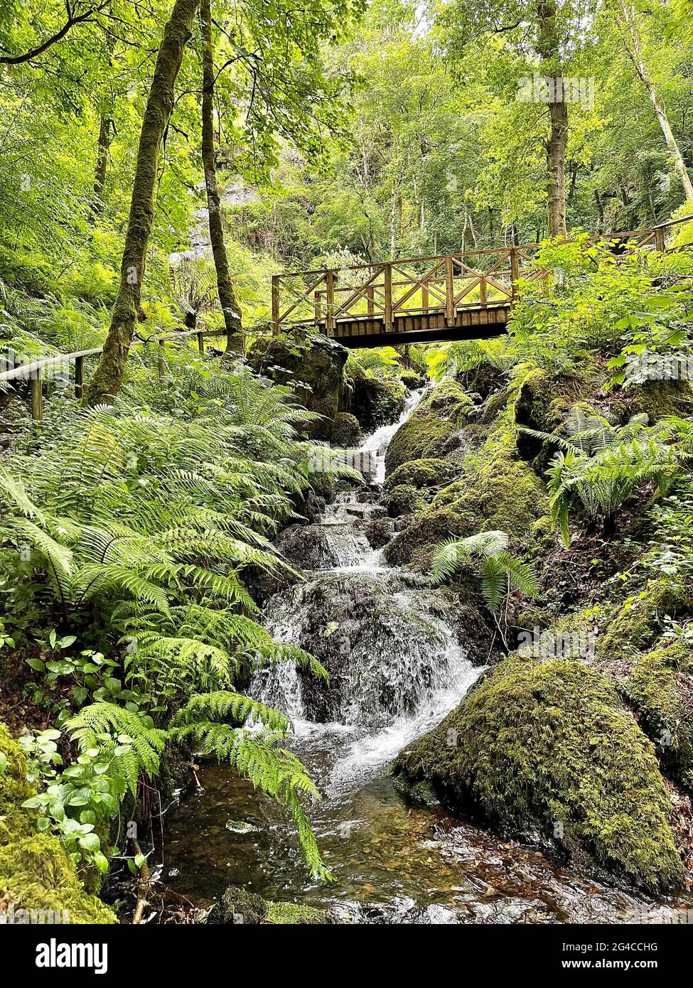 Canonteign Falls, Devon Stock Photo - Alamy