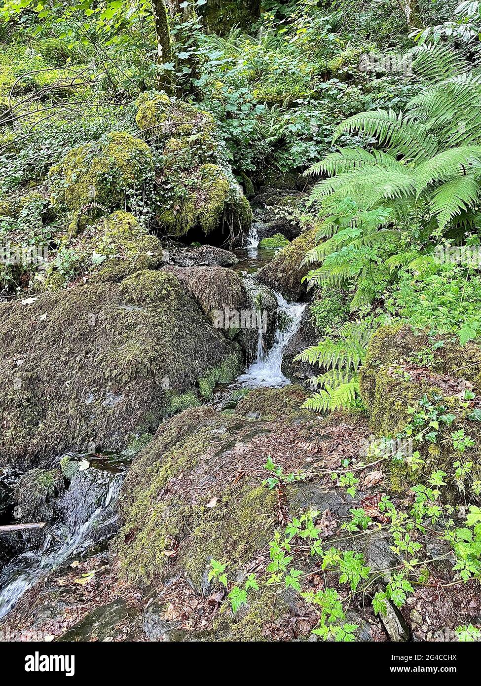 Falls and rocks hi-res stock photography and images - Alamy