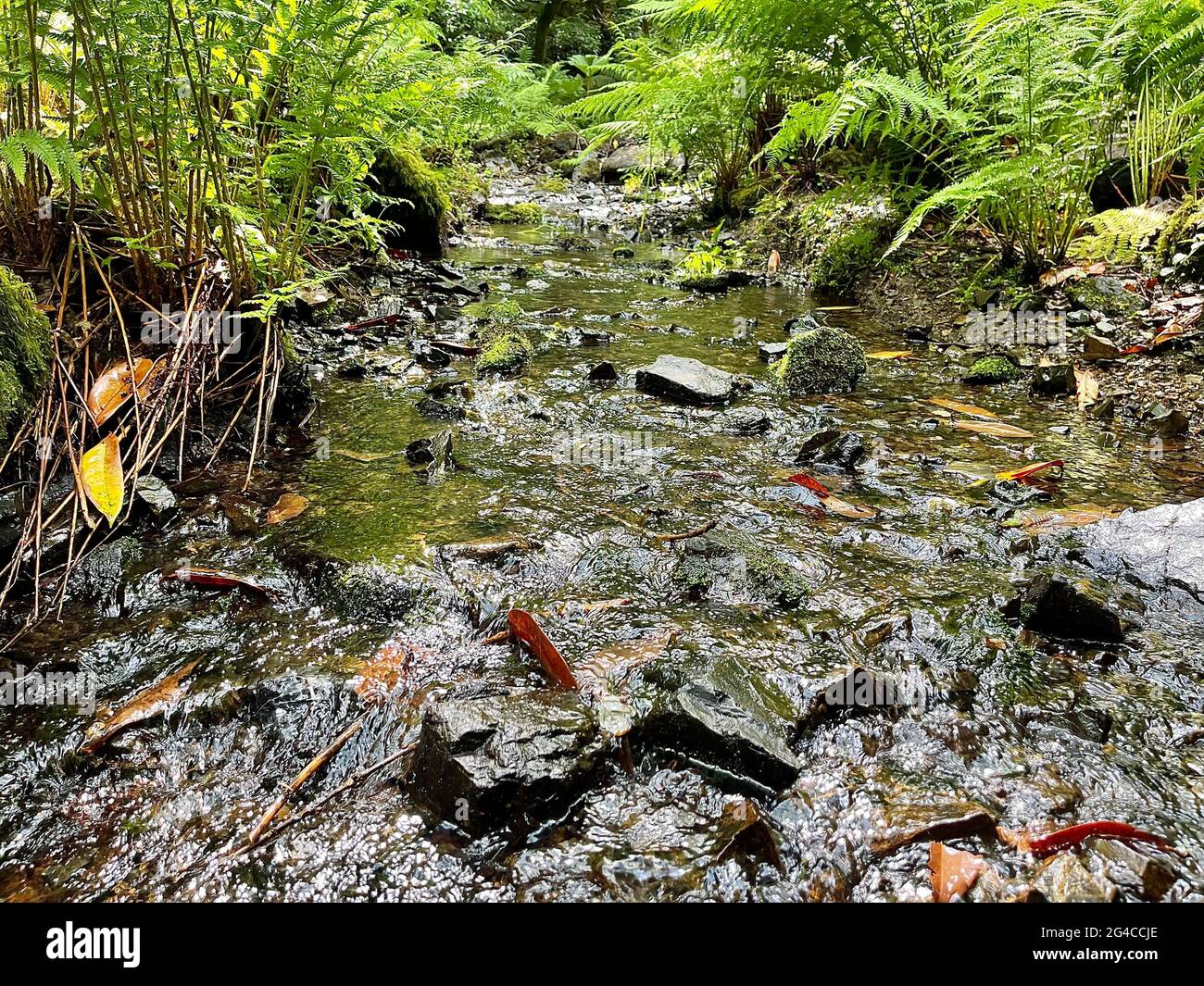 Dartmoor waterscape hi-res stock photography and images - Alamy