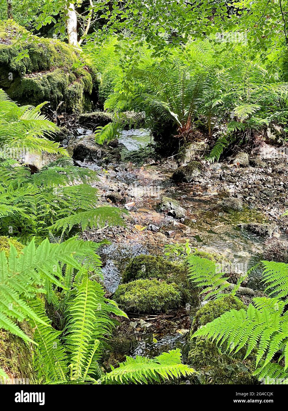 Dartmoor waterscape hi-res stock photography and images - Alamy