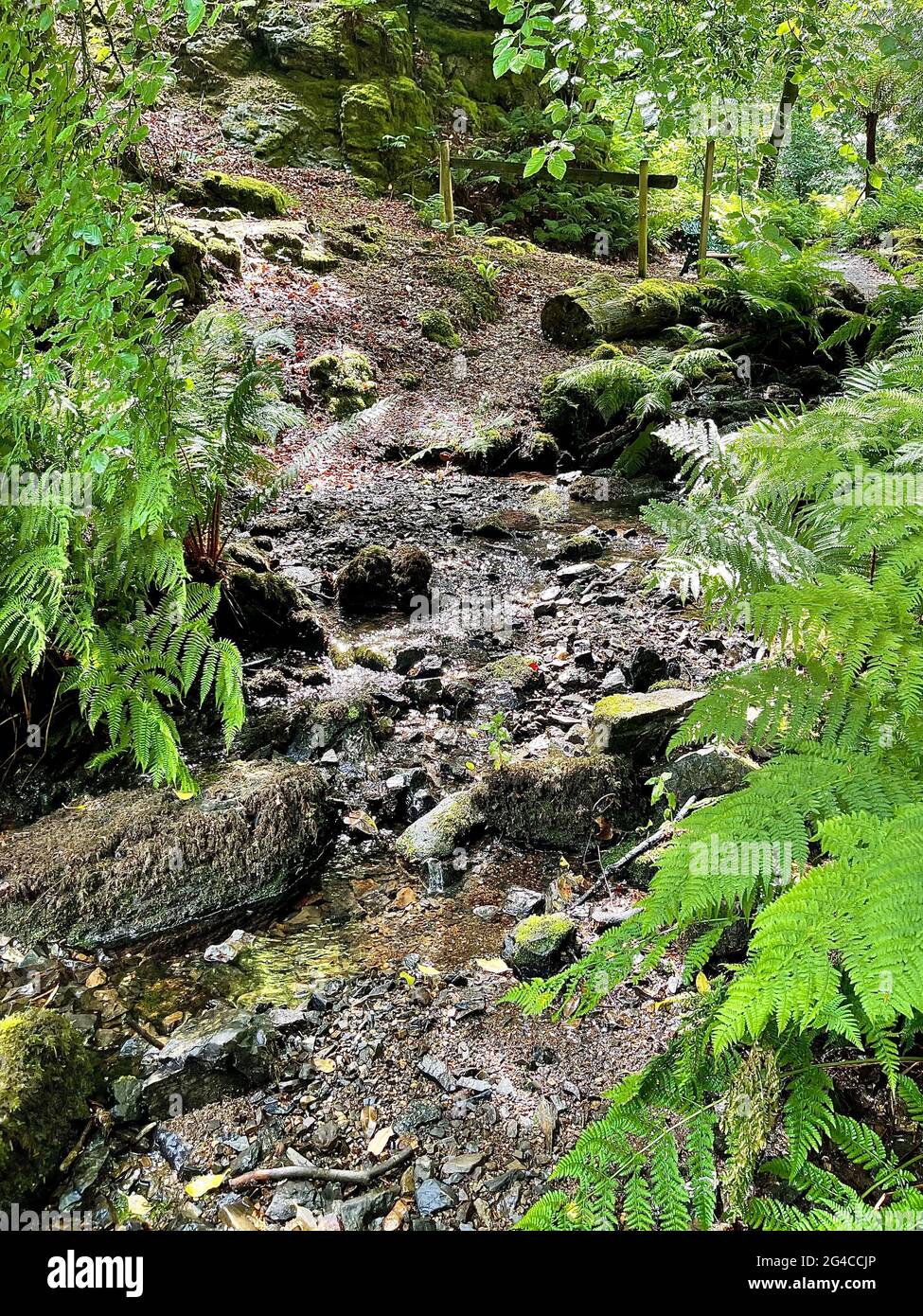 Dartmoor waterscape hi-res stock photography and images - Alamy