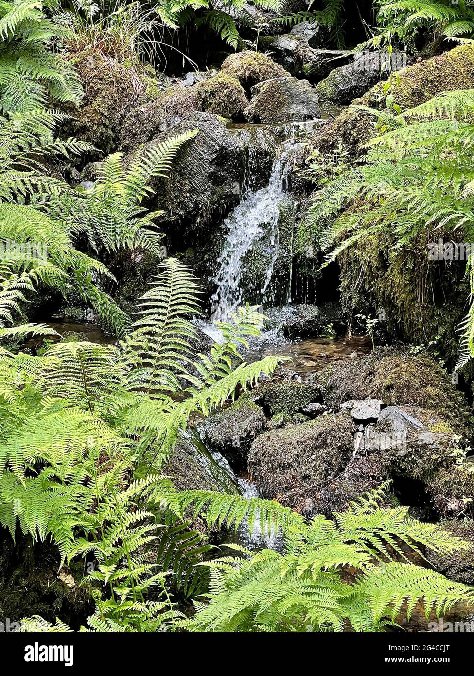 Water Cascading Over Rocks Stock Photo - Alamy