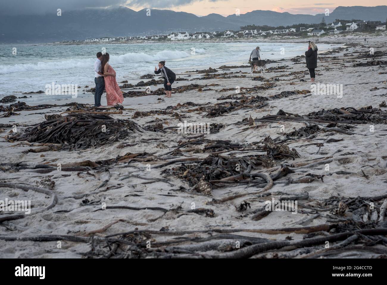 A couple with a baby bump poses for a photograph on Kommetjie's Long ...