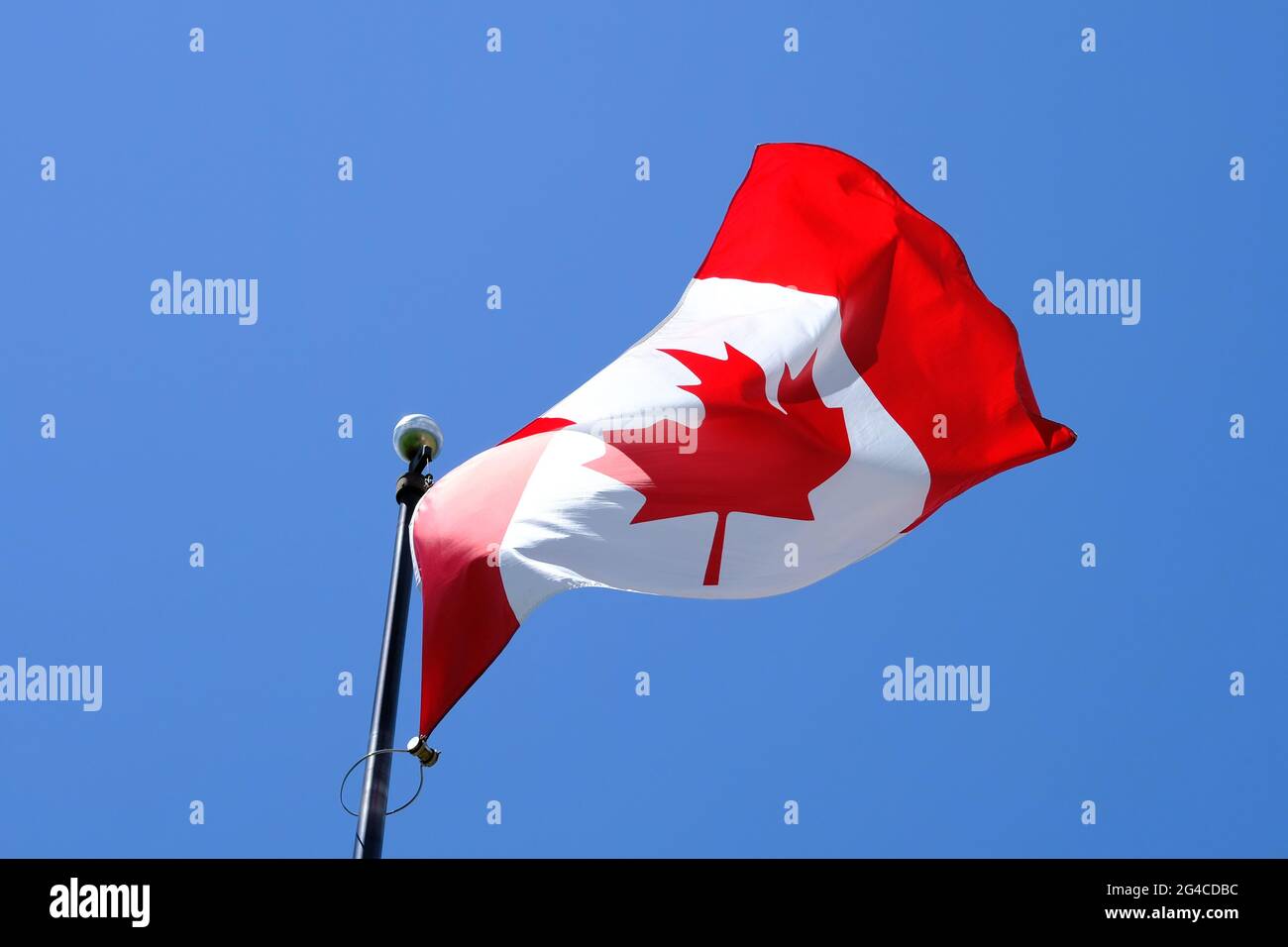 Canada maple leaf flag flapping in a gentle breeze and against a ...