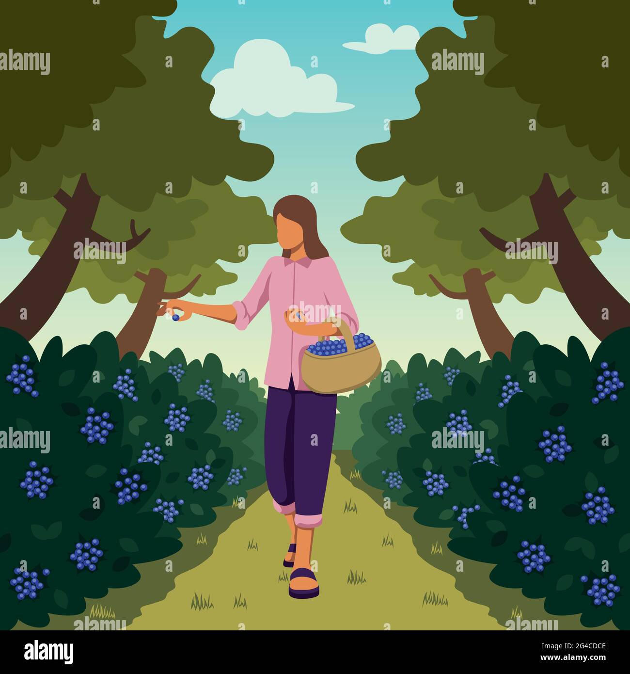 Digital Forest Fruit Picking Vector Illustration Food Person Summer