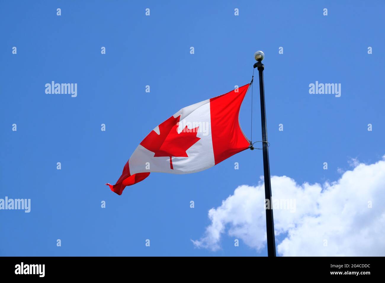Canada maple leaf flag flapping in a gentle breeze and against a ...