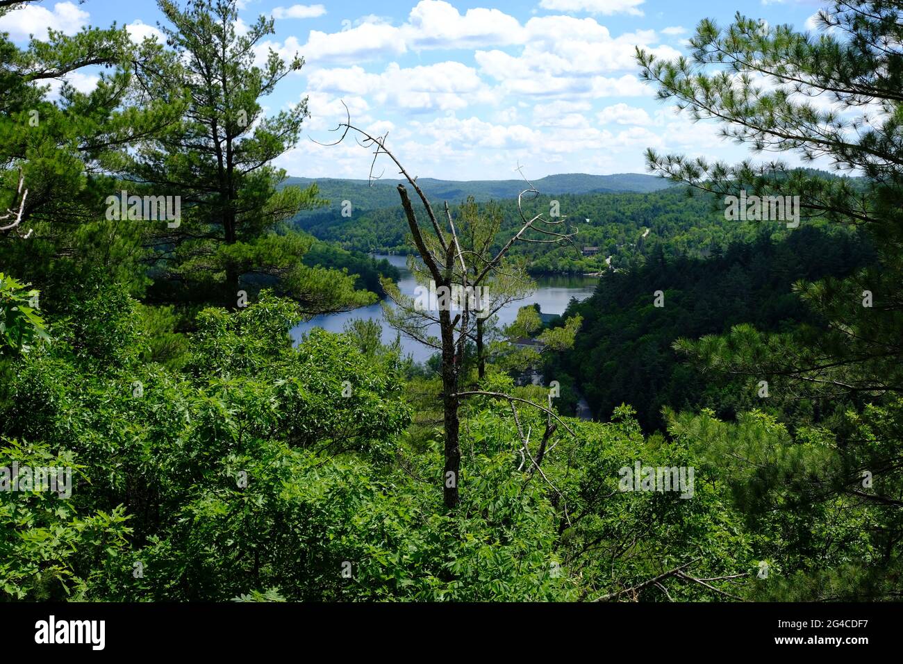 Maclarens cemetery hi-res stock photography and images - Alamy