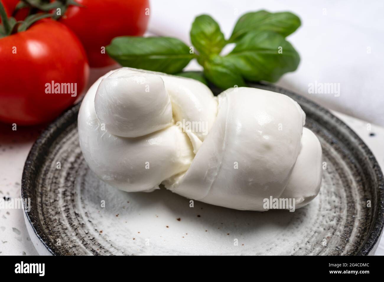 South Italian soft white mozzarella cheese made from buffalo cows milk ...