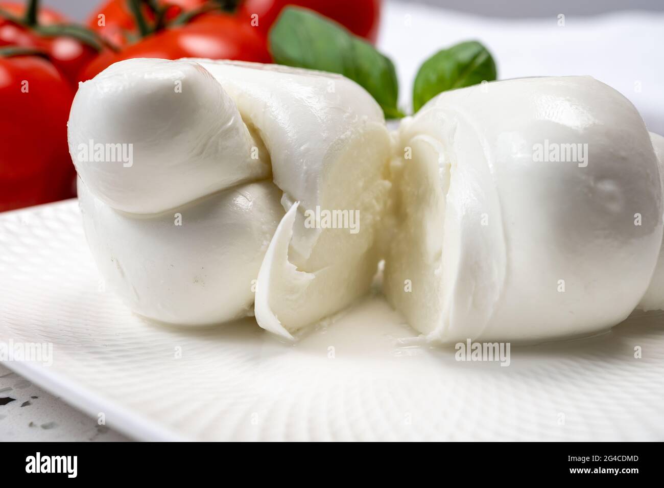 South Italian soft white mozzarella cheese made from buffalo cows milk ...