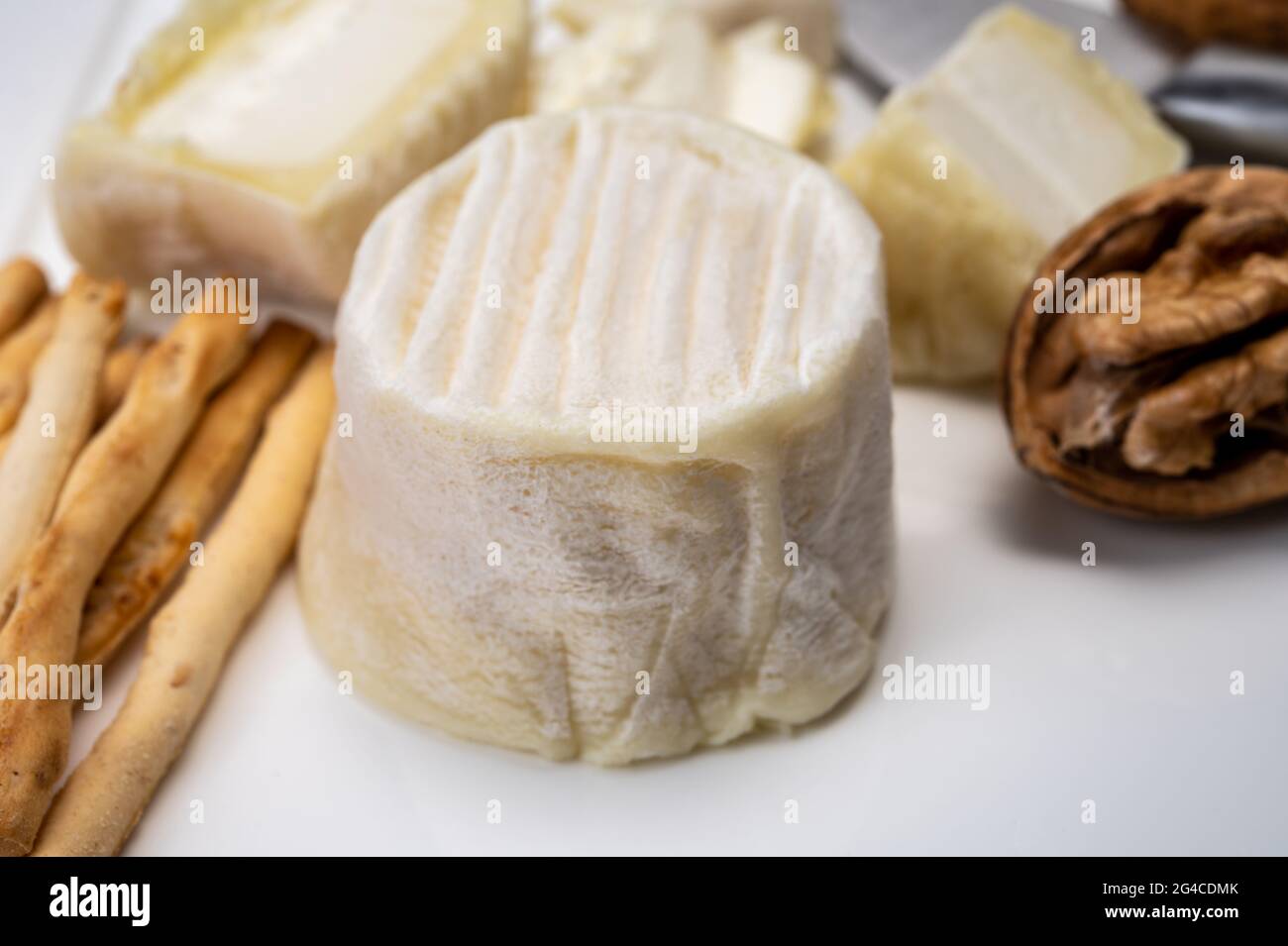 Cheese collection, soft goat French cheese with mold crottin de ...