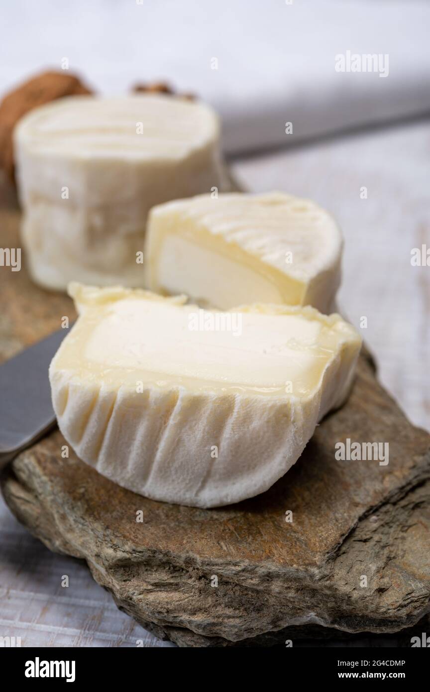 Cheese collection, soft goat French cheese with mold crottin de ...